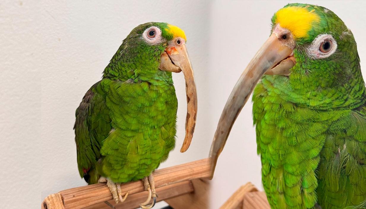 Generales | ZONA CERO